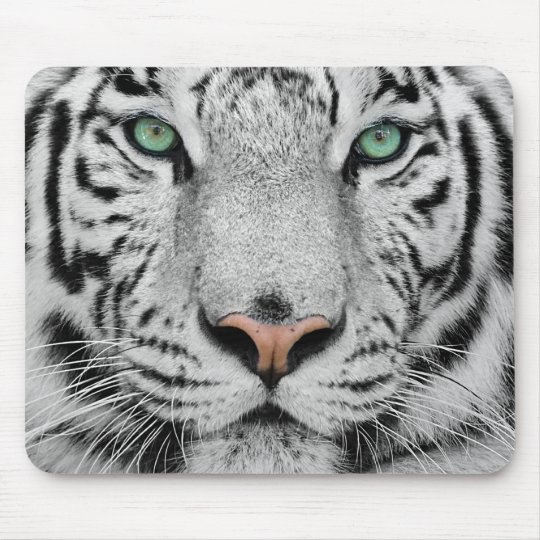 White Tiger Mouse Pad | Zazzle.com