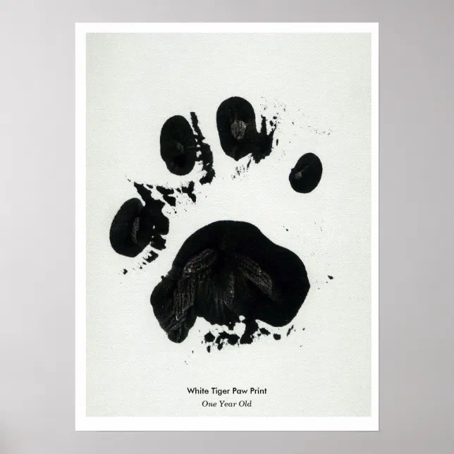White Tiger Paw Print Poster | Zazzle