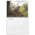 White Tigers Calendar, White Tigers Calendar | Zazzle