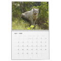 White Tigers Calendar, White Tigers Calendar | Zazzle