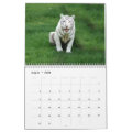 White Tigers Calendar, White Tigers Calendar | Zazzle