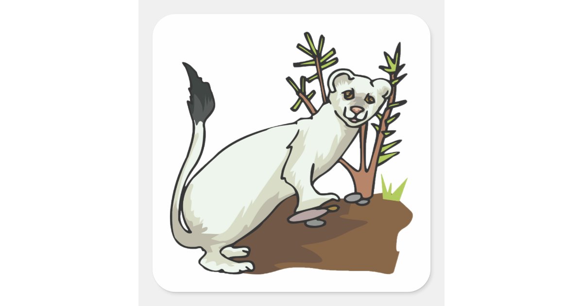 White Weasel Wildlife Square Sticker | Zazzle