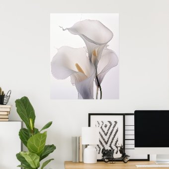 White Wedding Calla Lily White Background Poster | Zazzle