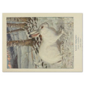 White Winter Rabbit Ephemera Decoupage Tissue Paper | Zazzle