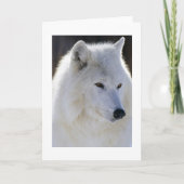 White Wolf Card | Zazzle