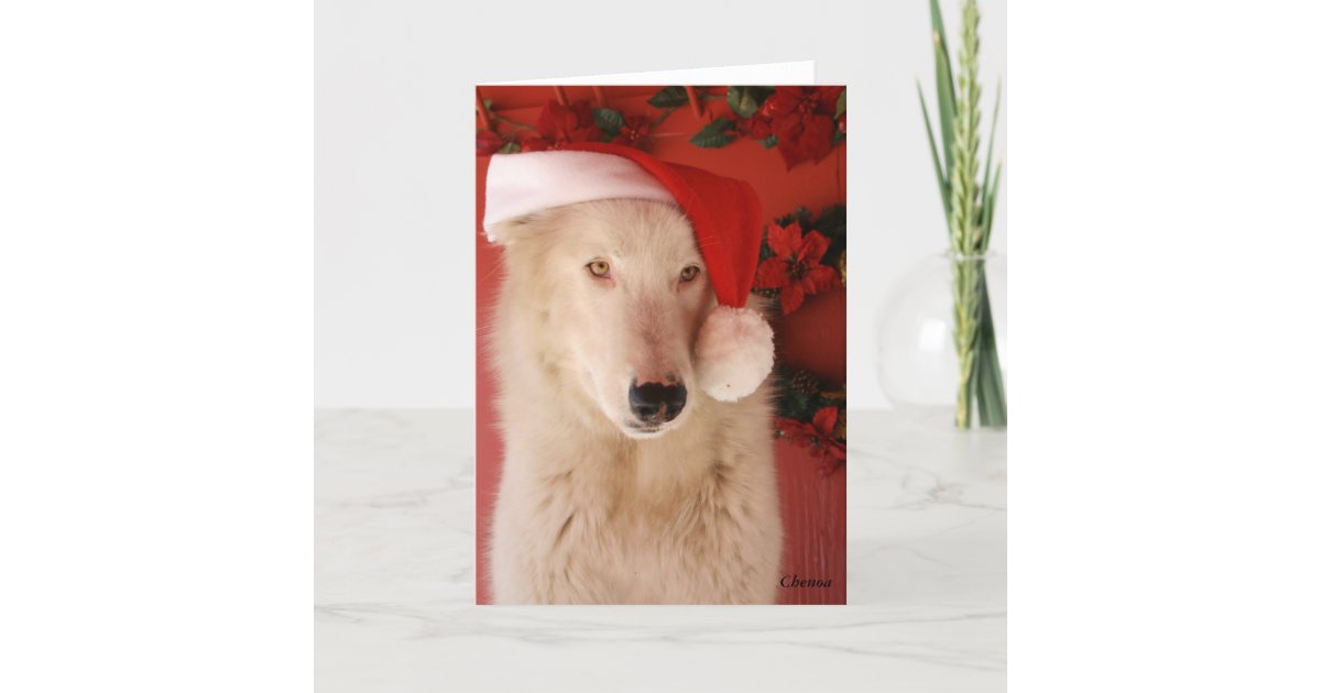 White Wolf Christmas Card | Zazzle