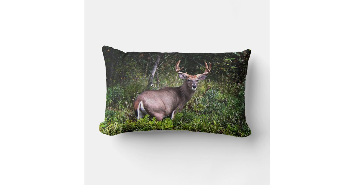 Whitetail Buck Lumbar Pillow | Zazzle