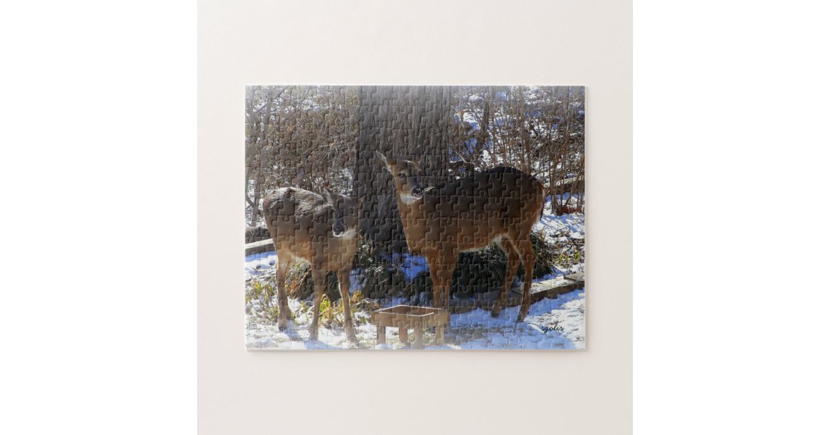 Whitetail Deer 11x14 Photo Puzzle with Gift Box | Zazzle