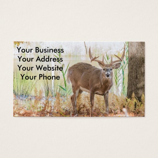 Whitetail deer buck business card | Zazzle.com