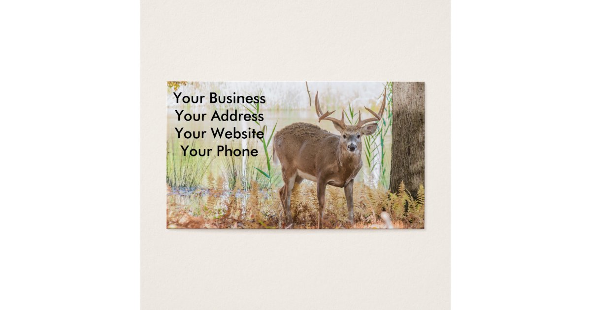 Whitetail deer buck business card | Zazzle.com