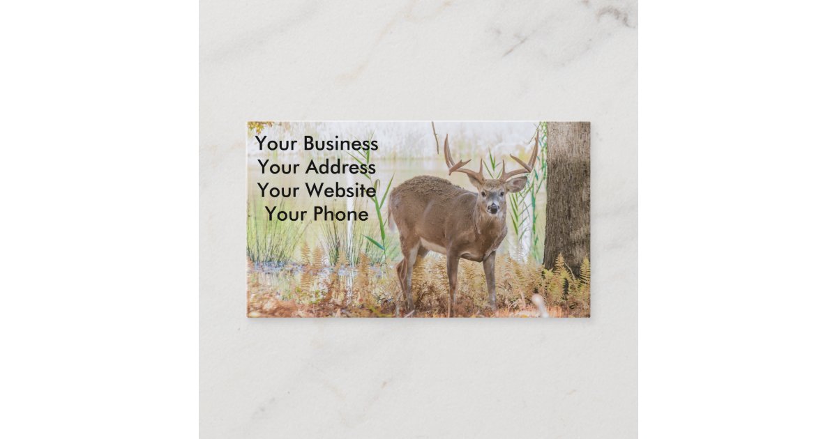 Whitetail deer buck business card | Zazzle