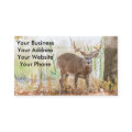 Whitetail deer buck business card | Zazzle