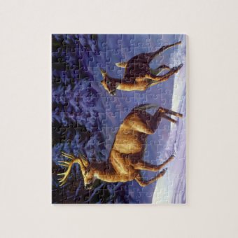 Whitetail Deer Buck & Doe in Winter Snow Jigsaw Puzzle | Zazzle