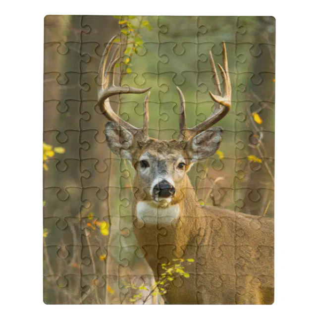 Whitetail Deer Buck | Whitefish, Montana Jigsaw Puzzle | Zazzle