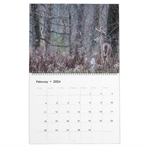 Whitetail Deer Bucks Calendar | Zazzle