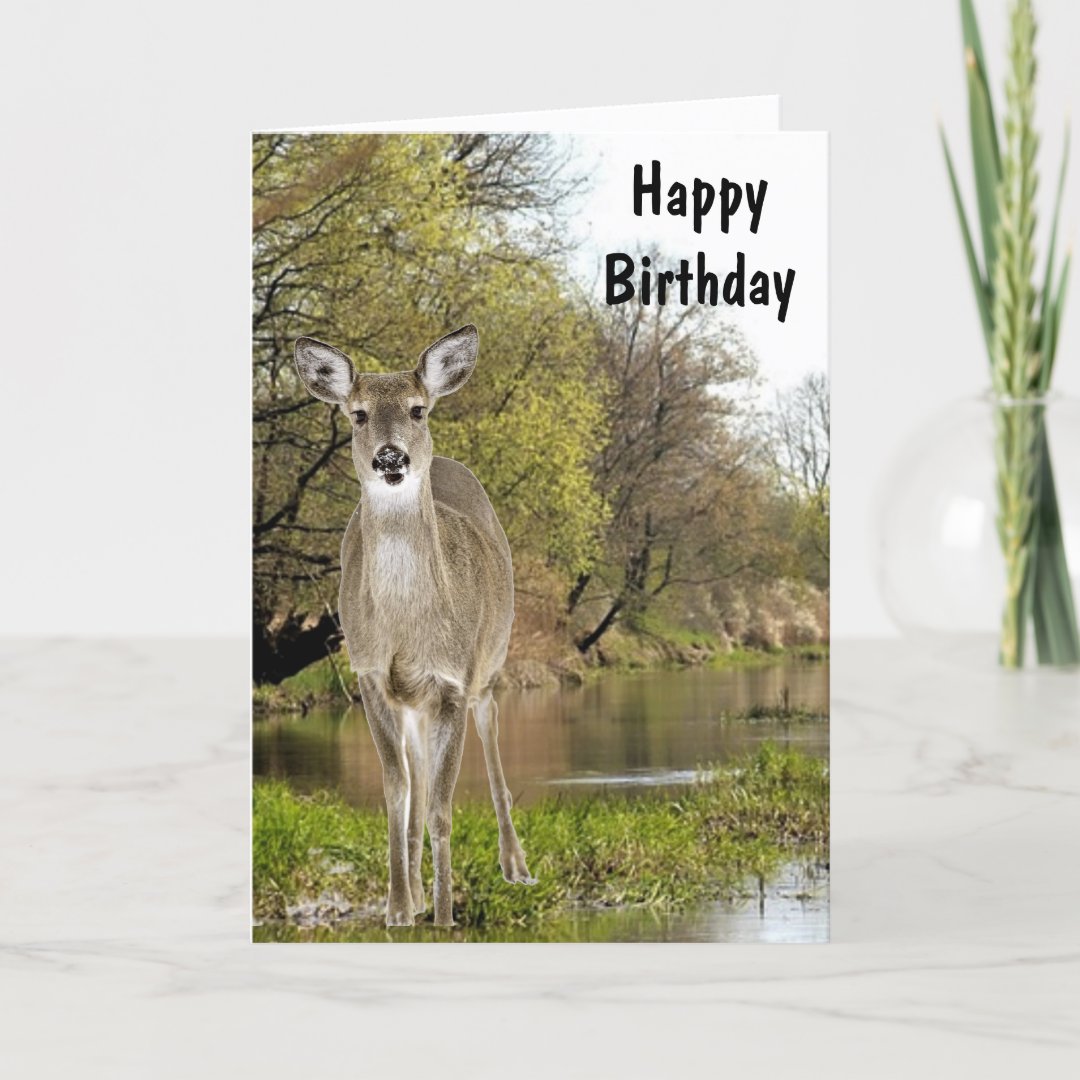 Whitetail Deer by Creek Happy Birthday for Men Card | Zazzle