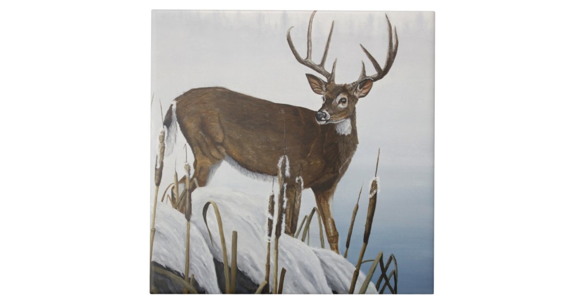 Whitetail deer ceramic tile | Zazzle