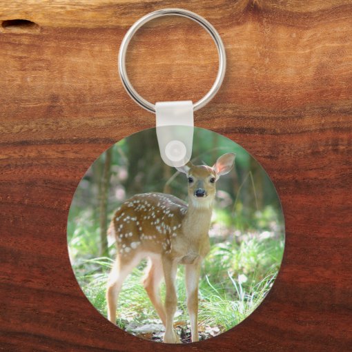 Whitetail Deer Fawn Keychain | Zazzle