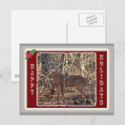 Whitetail Deer Happy Holidays Items Holiday Postcard | Zazzle