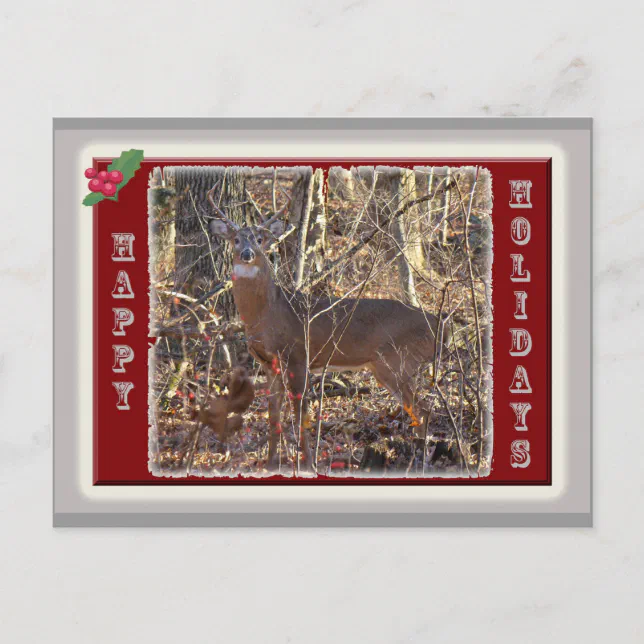 Whitetail Deer Happy Holidays Items Holiday Postcard | Zazzle