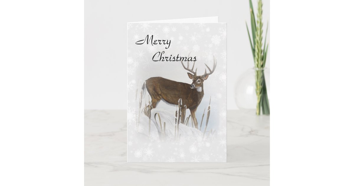 Whitetail deer holiday card | Zazzle