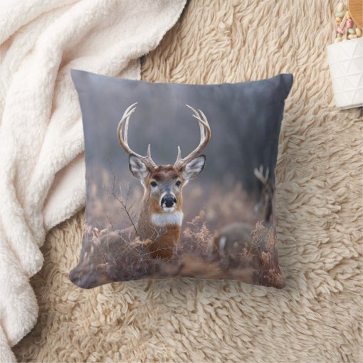 Whitetail Deer In Autumn Season Field Throw Pillow | Zazzle