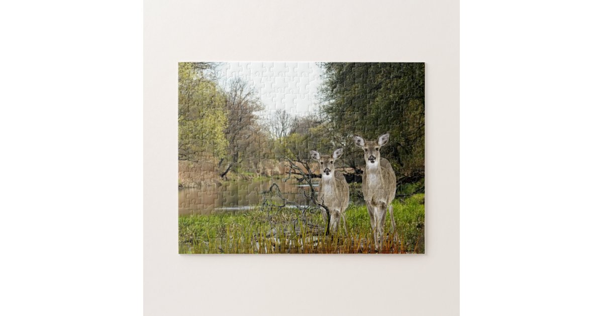 Whitetail Deer in Forest Collage Art Jigsaw Puzzle | Zazzle