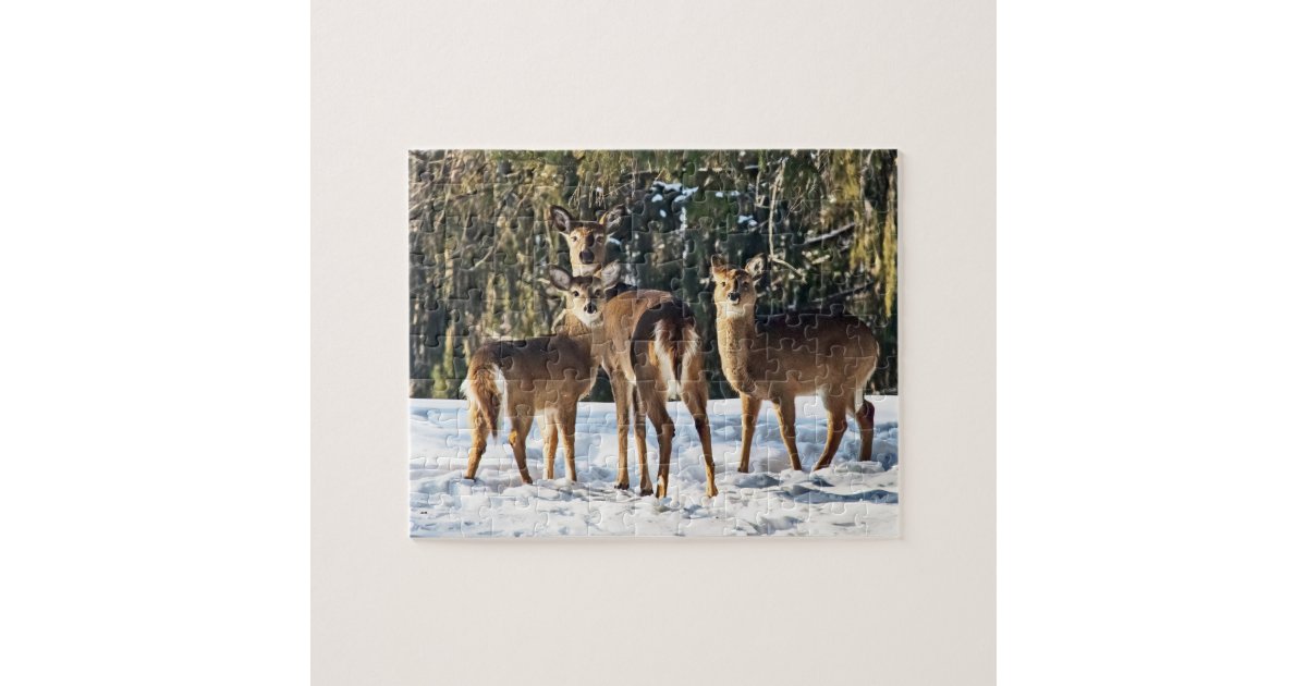 Whitetail Deer in Snow Jigsaw Puzzle | Zazzle