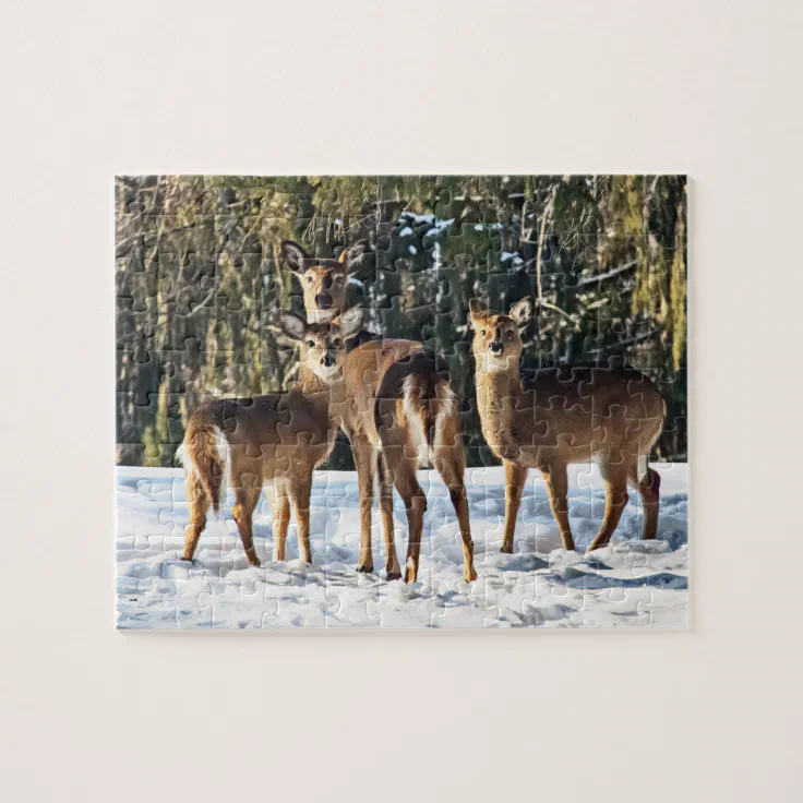 Whitetail Deer in Snow Jigsaw Puzzle | Zazzle