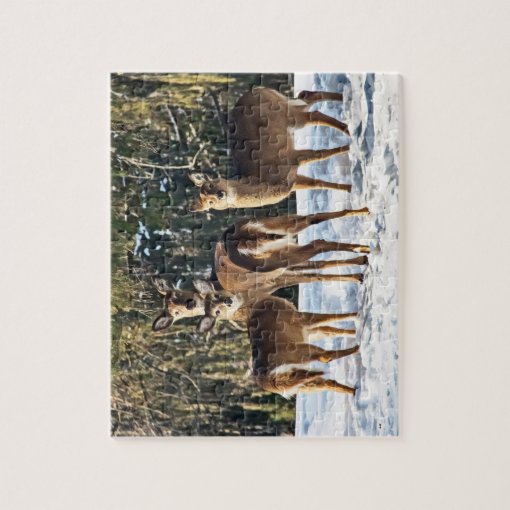 Whitetail Deer in Snow Jigsaw Puzzle | Zazzle
