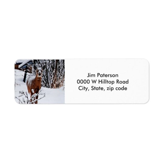 Whitetail Deer Return Address Labels | Zazzle.com