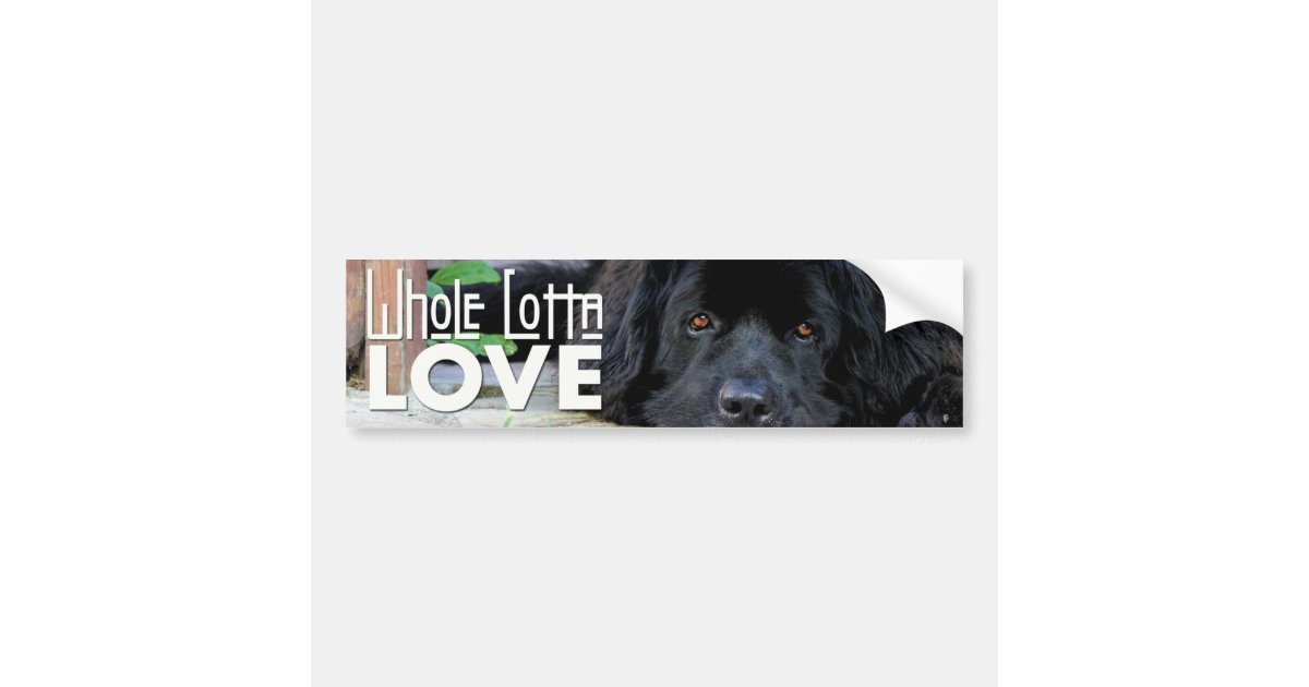 Whole Lotta Love Newfie Bumper Sticker | Zazzle