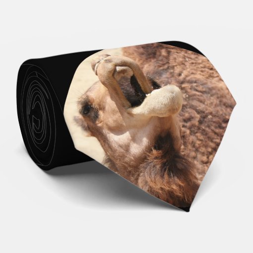 Whoot! Fun tie for work day Wednesday! HUMP DAY! | Zazzle