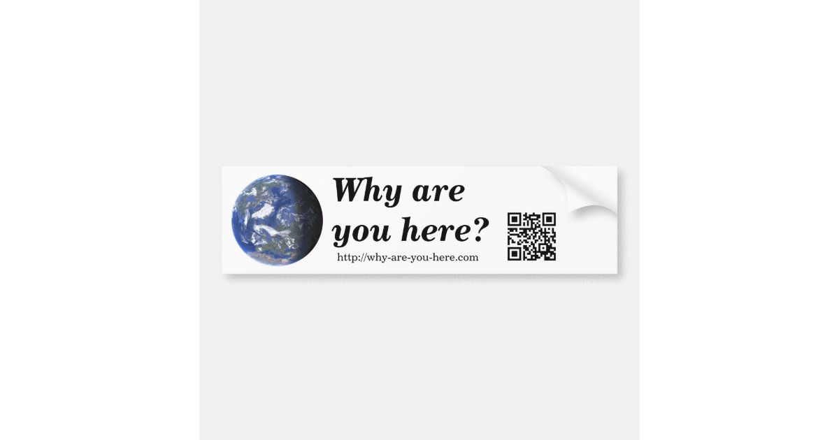 Why are your here? bumper sticker | Zazzle