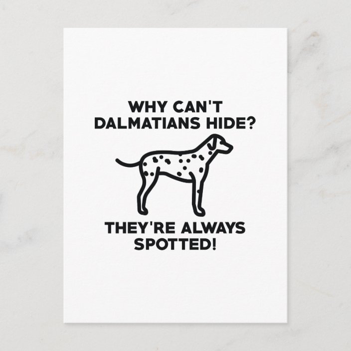 Why Can't Dalmatians Hide Postcard | Zazzle.com