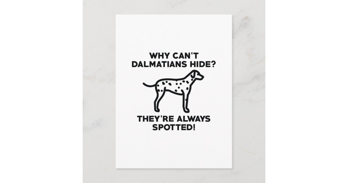 Why Can't Dalmatians Hide Postcard | Zazzle