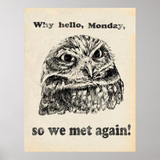 Funny Owl Posters | Zazzle