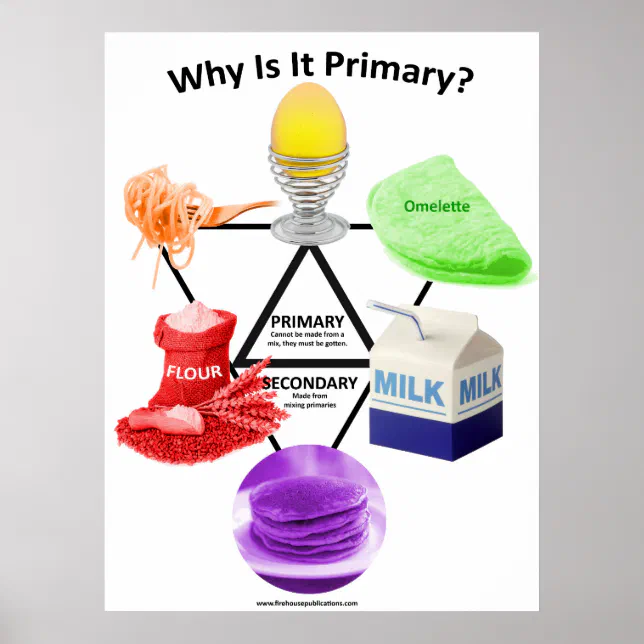 Why is it Primary? Poster | Zazzle