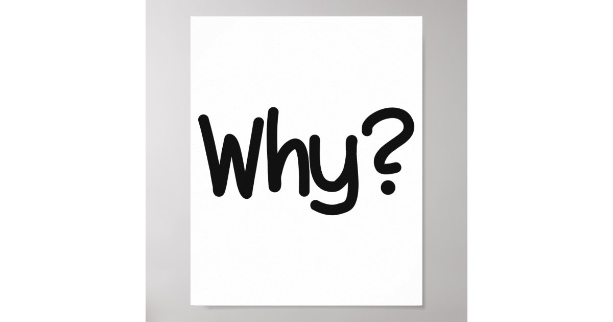 Why Poster | Zazzle
