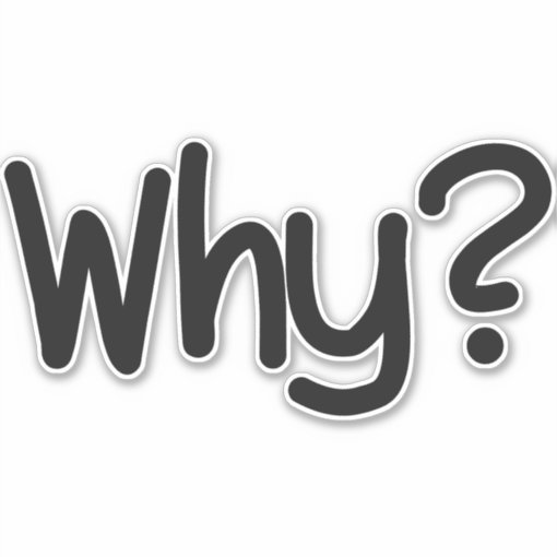 Why Sticker | Zazzle