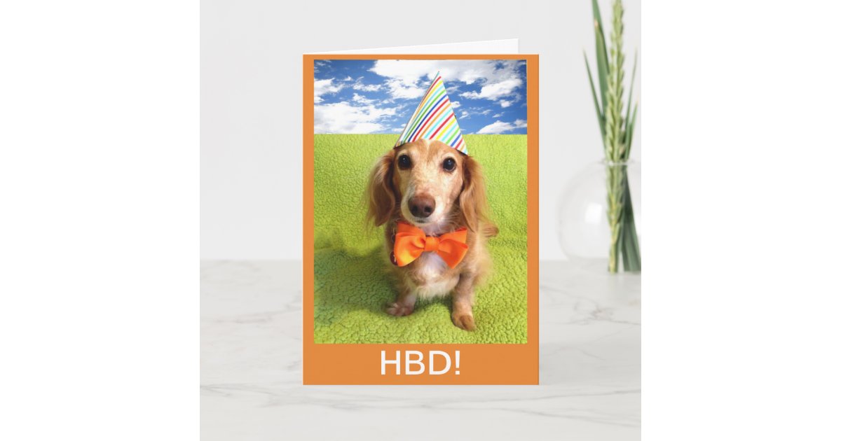 Wiener Dog HBD Card | Zazzle