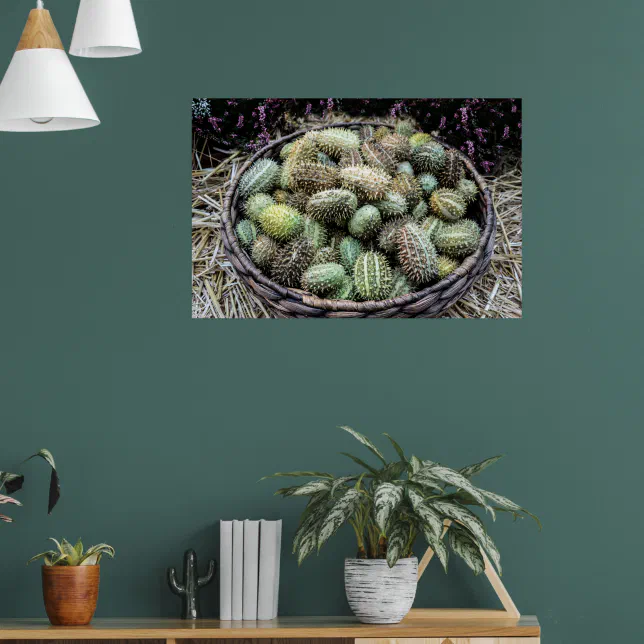 Wild African cucumber Poster | Zazzle