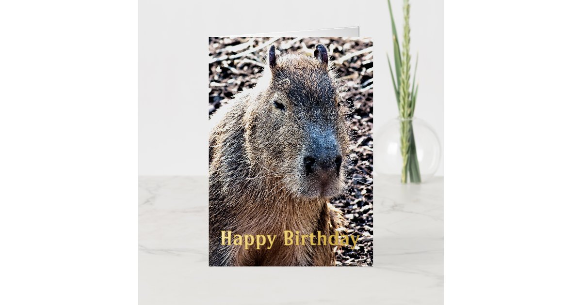 WILD ANIMAL CAPYBARA FOIL GREETING CARD | Zazzle