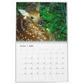 WILD ANIMALS CALENDAR | Zazzle