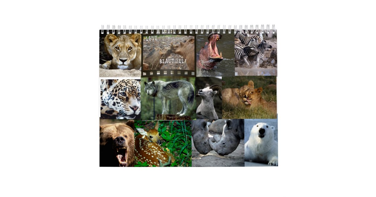 WILD ANIMALS CALENDAR | Zazzle