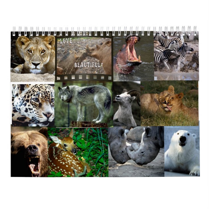 WILD ANIMALS CALENDAR | Zazzle