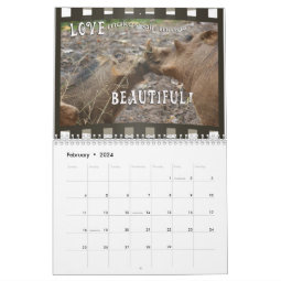 WILD ANIMALS CALENDAR | Zazzle