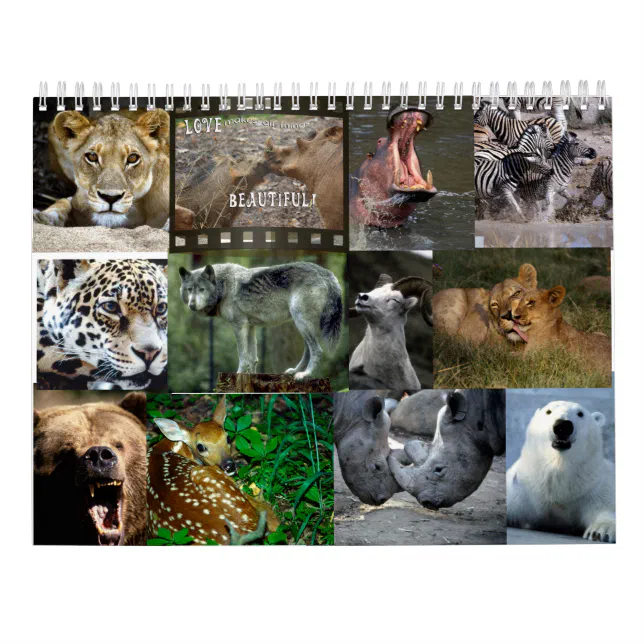 WILD ANIMALS CALENDAR | Zazzle