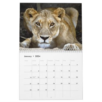 WILD ANIMALS CALENDAR | Zazzle