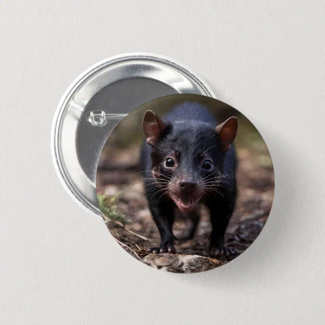 Wild Beginnings: The Young Tasmanian Devil Button | Zazzle